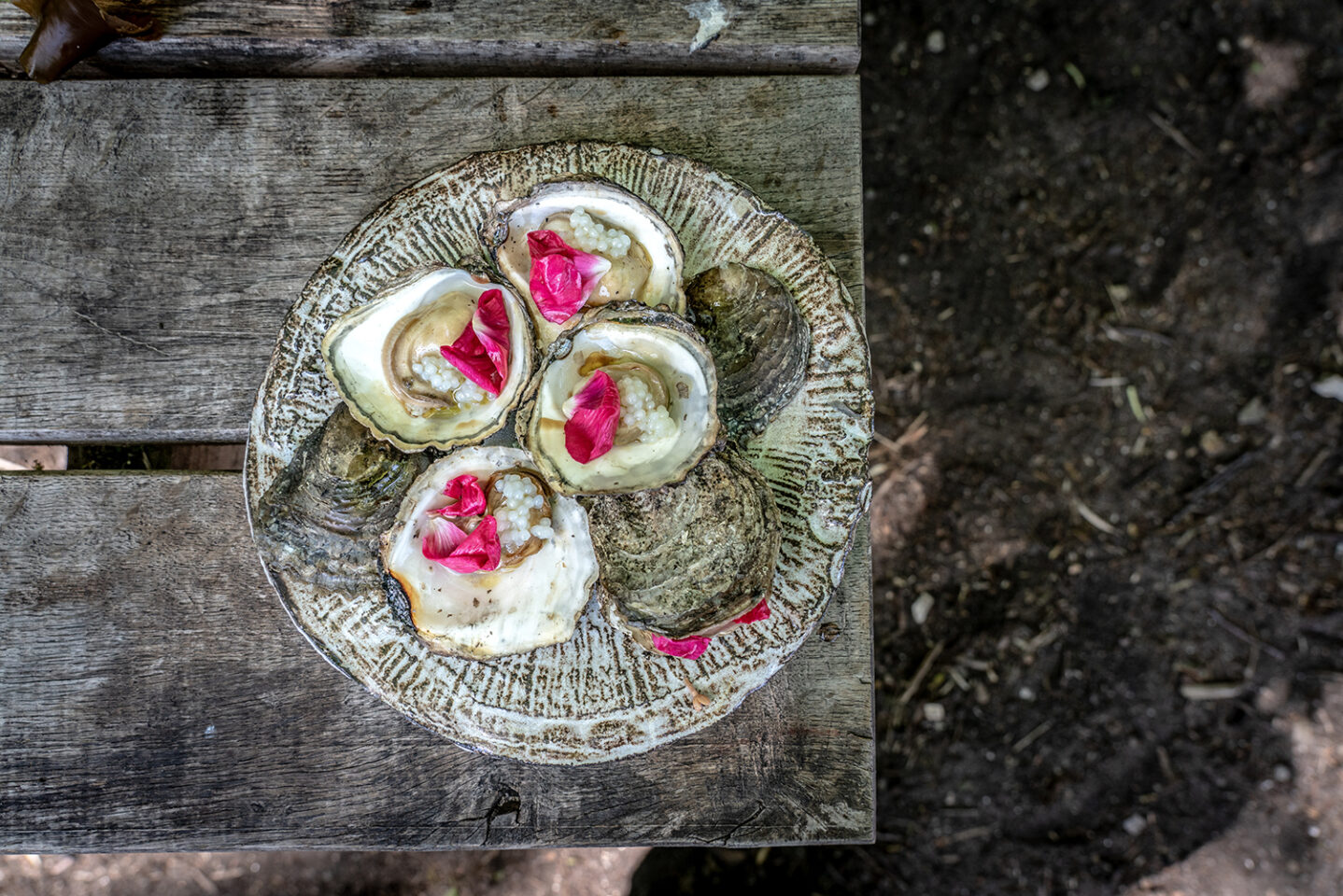 Østers flambadou - Havhøst